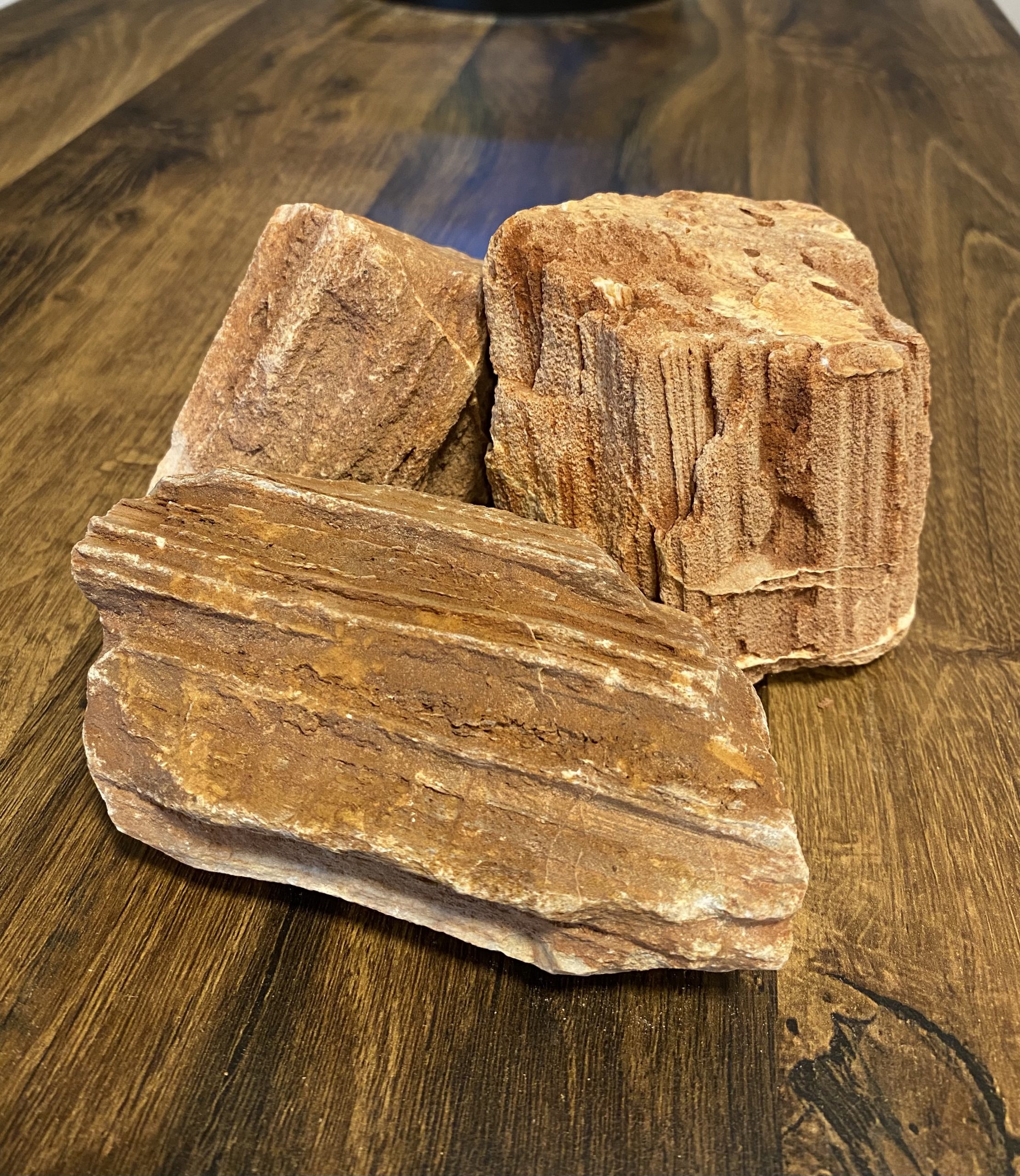 Kamen red wood - Akvaristika Zoo Lizard